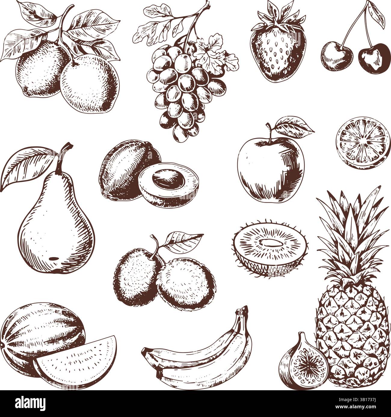 Minimalist hand drawn Fruit collection vector illustration Stock Vector ...