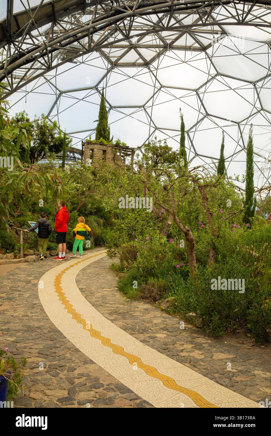 Mediterranean Biome Eden project Cornwall Stock Photo - Alamy
