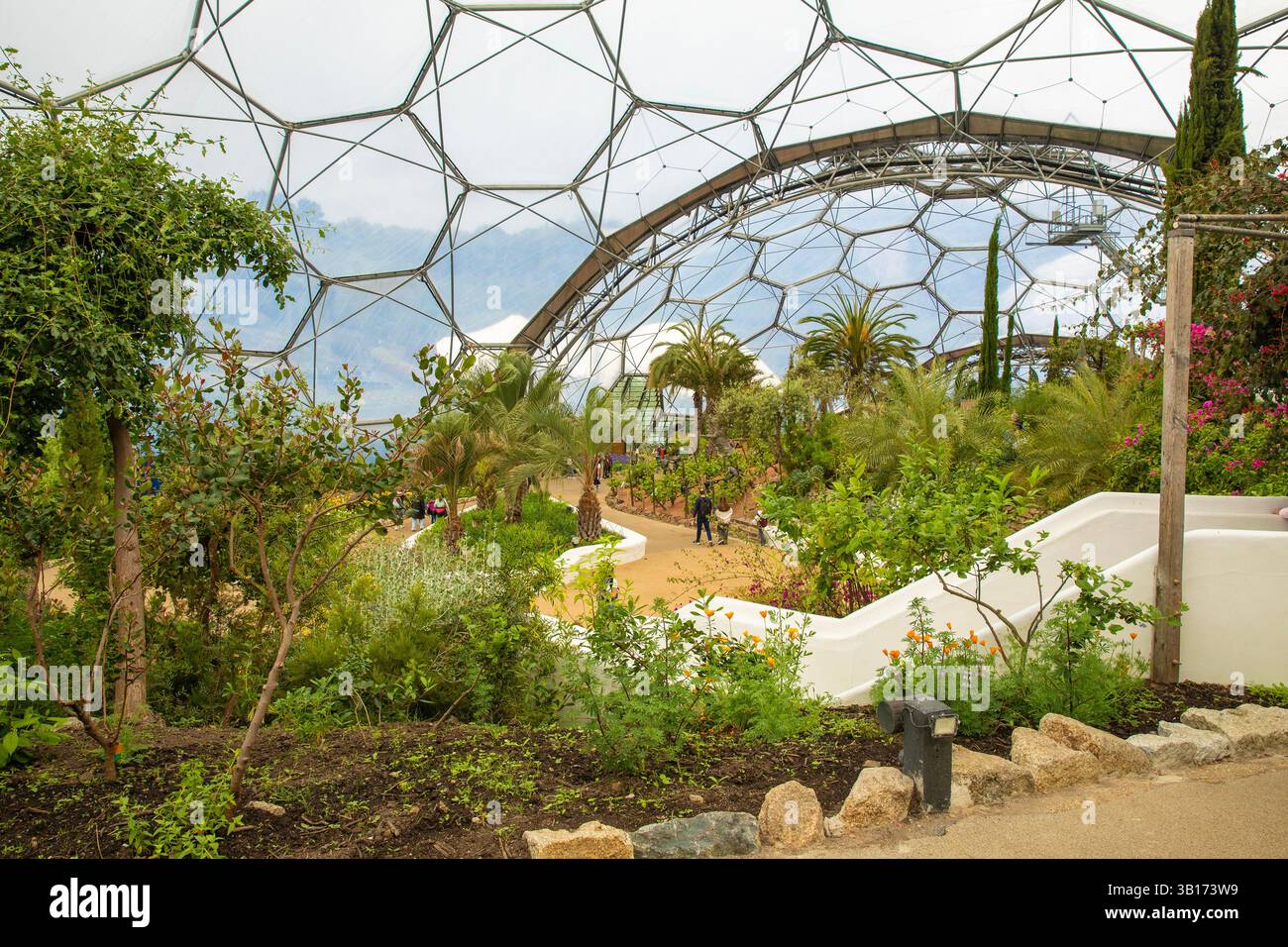 Mediterranean Biome Eden project Cornwall Stock Photo - Alamy