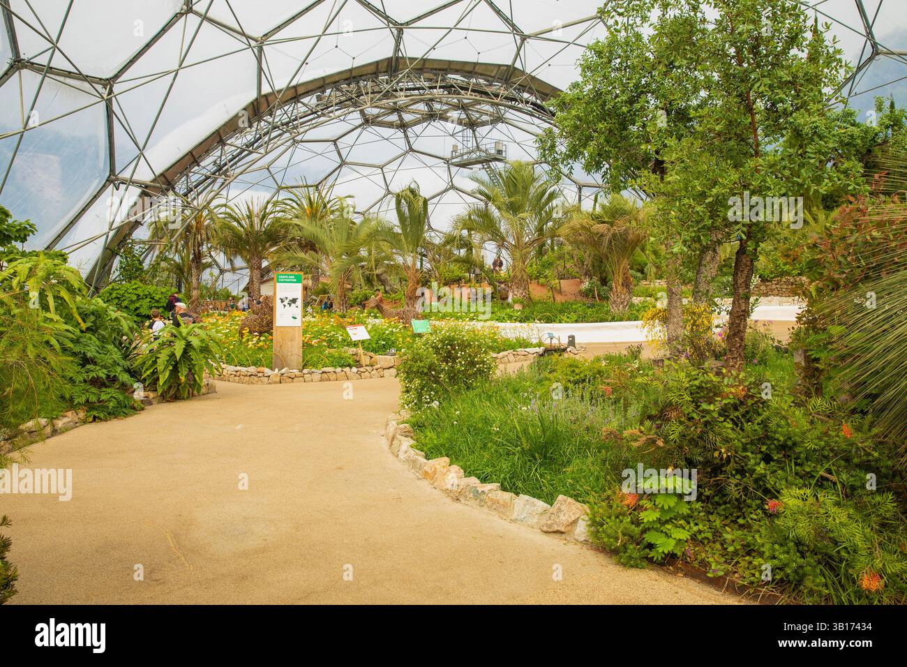 Mediterranean Biome Eden project Cornwall Stock Photo - Alamy