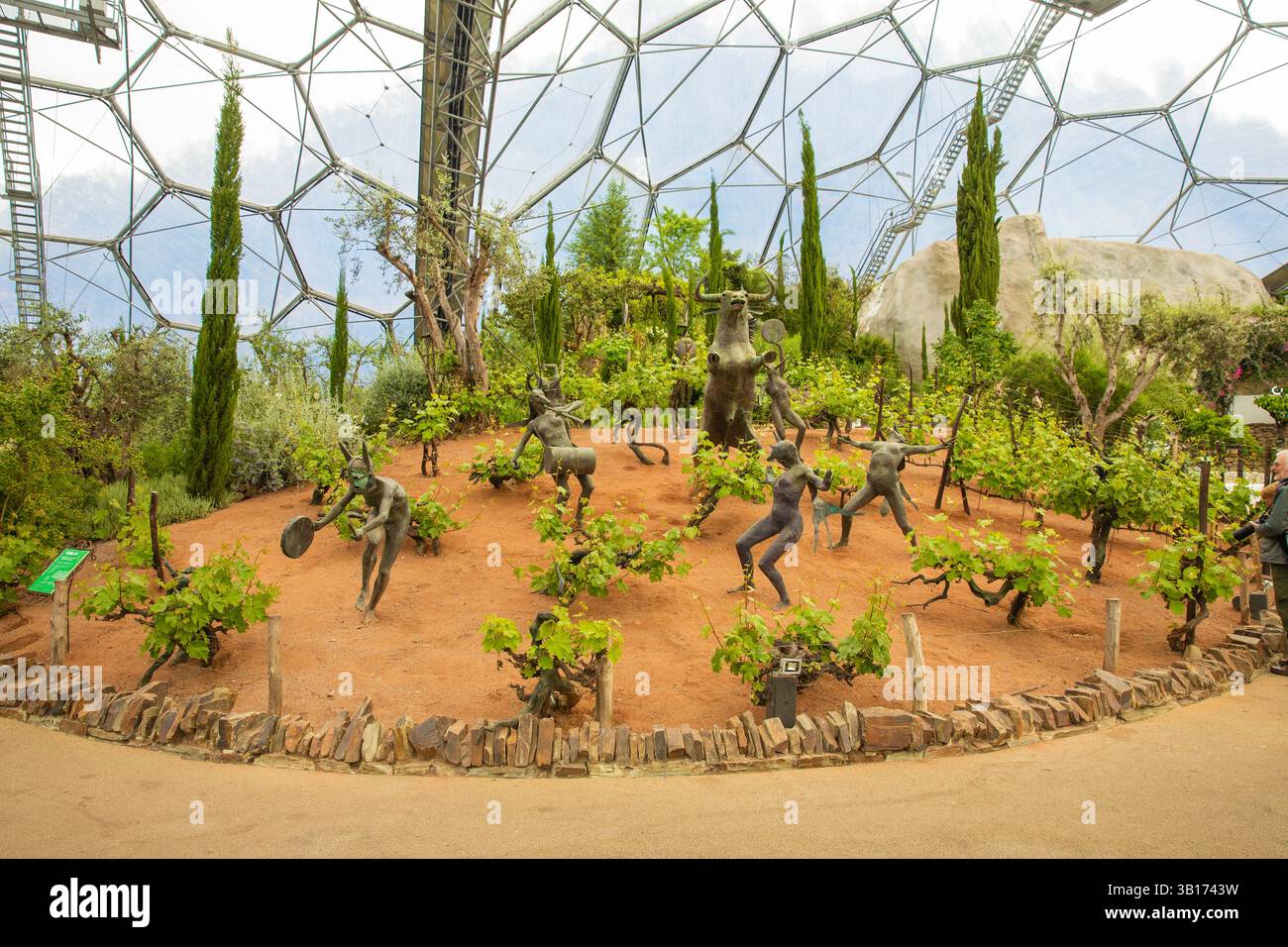 Mediterranean Biome Eden project Cornwall Stock Photo - Alamy