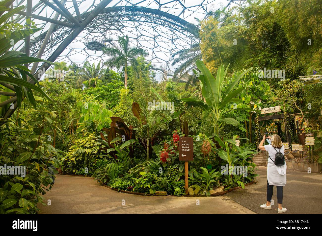 Rainforest Biome Eden Project Cornwall Stock Photo - Alamy