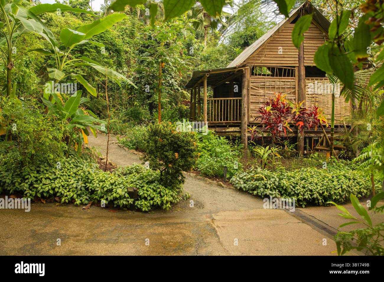 Rainforest Biome Eden Project Cornwall Stock Photo - Alamy