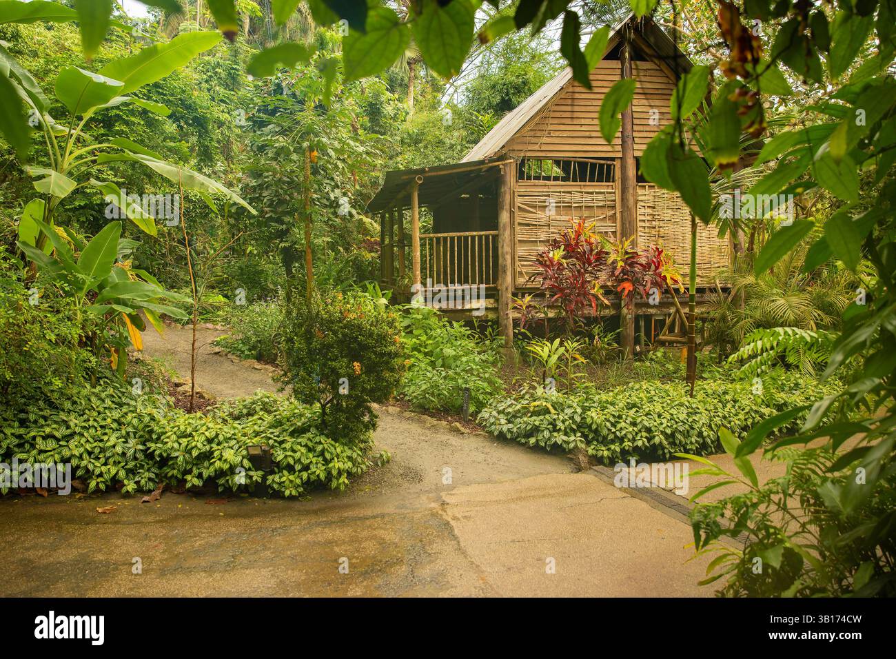Rainforest Biome Eden Project Cornwall Stock Photo - Alamy
