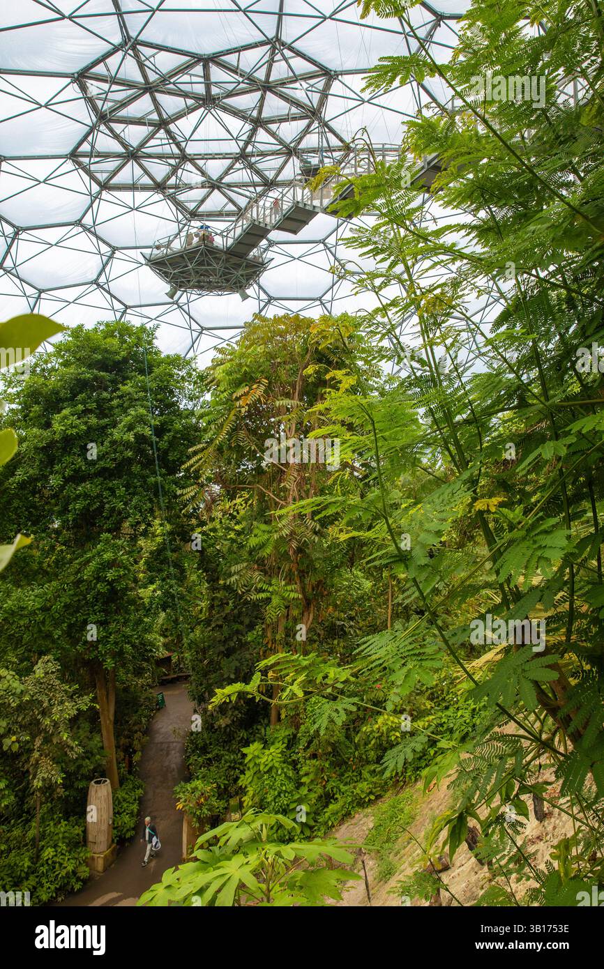 Rainforest Biome Eden Project Cornwall Stock Photo - Alamy