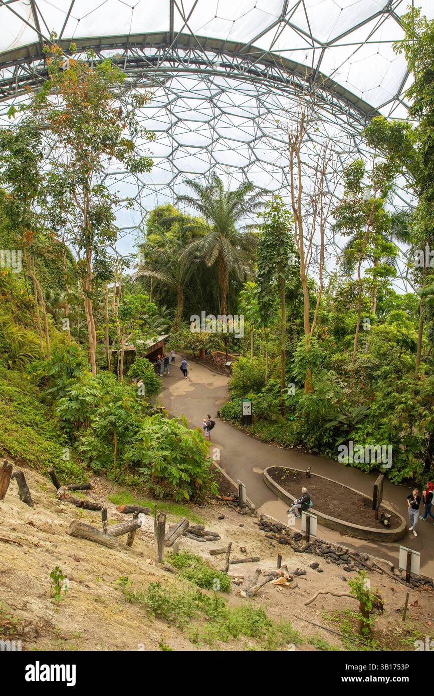 Rainforest Biome Eden Project Cornwall Stock Photo - Alamy