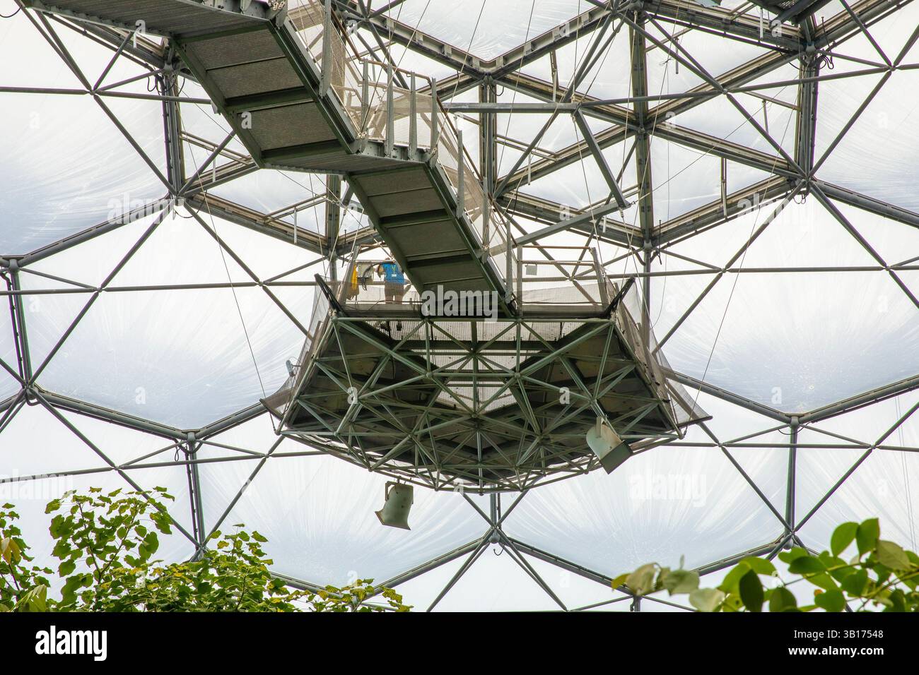 Rainforest Biome Eden Project Cornwall Stock Photo - Alamy