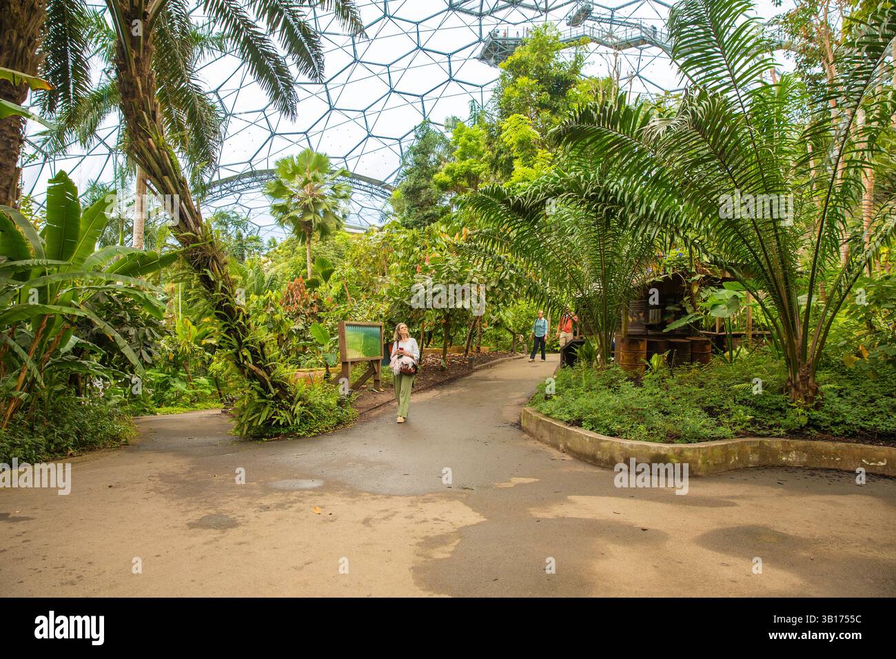 Rainforest Biome Eden Project Cornwall Stock Photo - Alamy