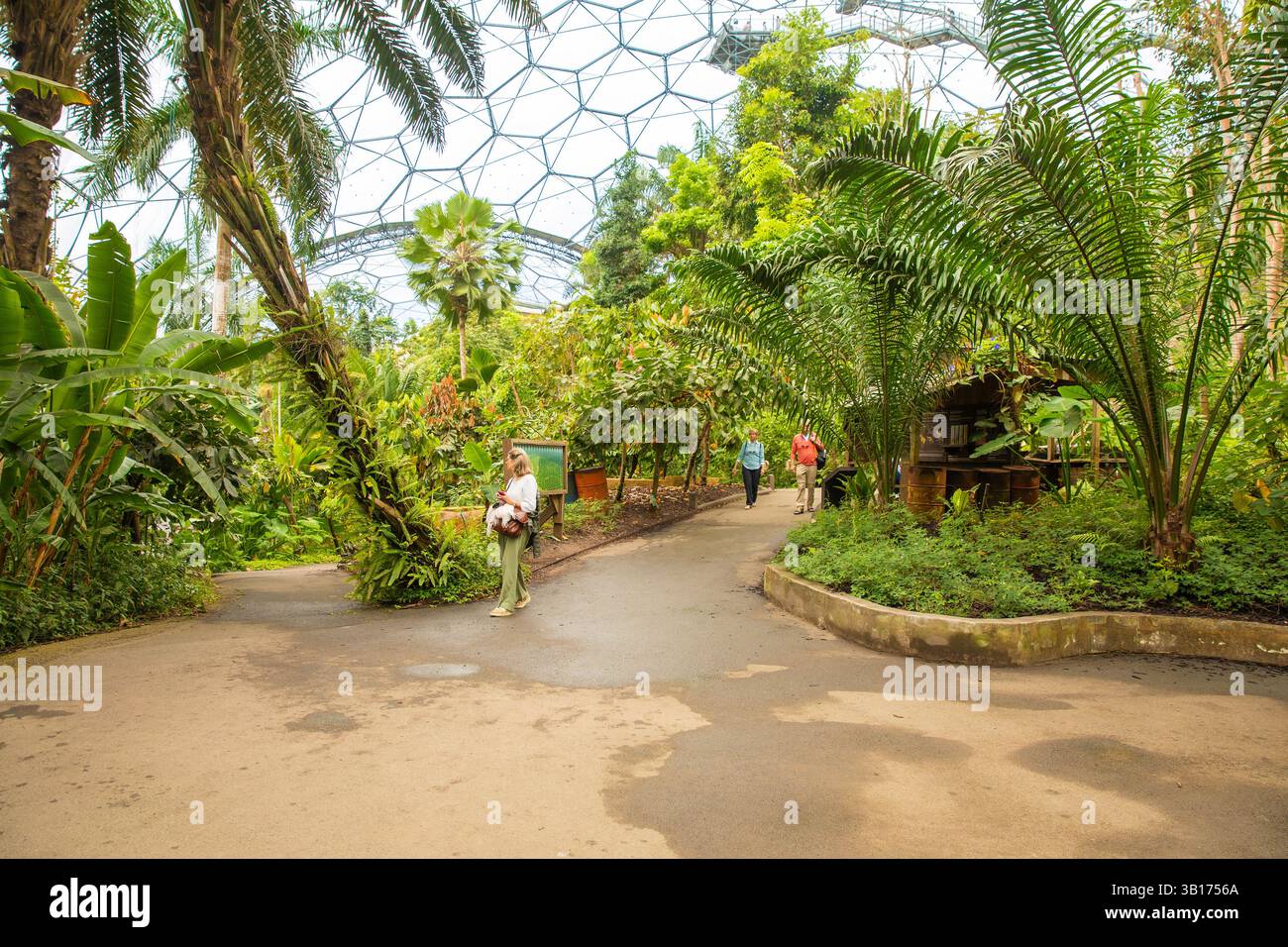 Rainforest Biome Eden Project Cornwall Stock Photo - Alamy