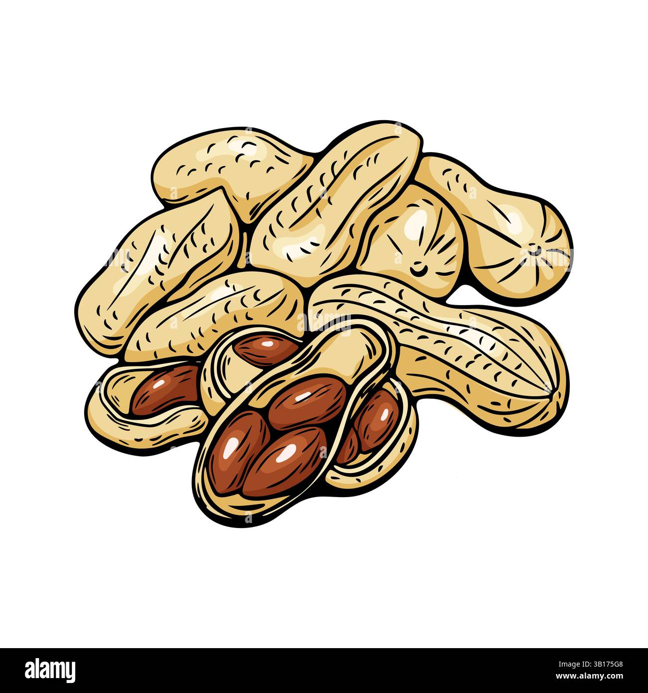 Group of peanuts in cartoon vector style with color fill. Great for ...