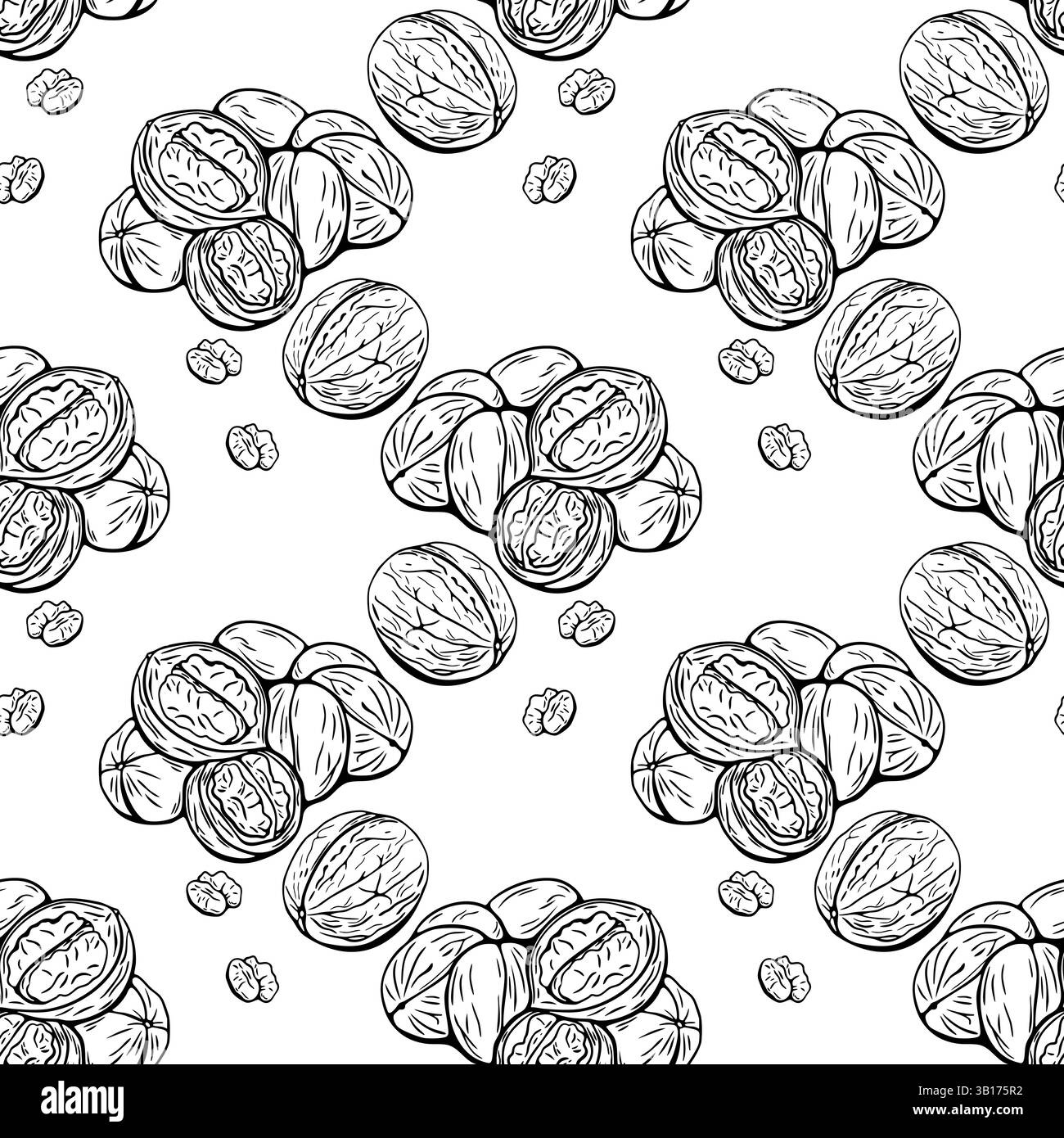 Walnut nut kernels vintage Stock Vector Images - Alamy