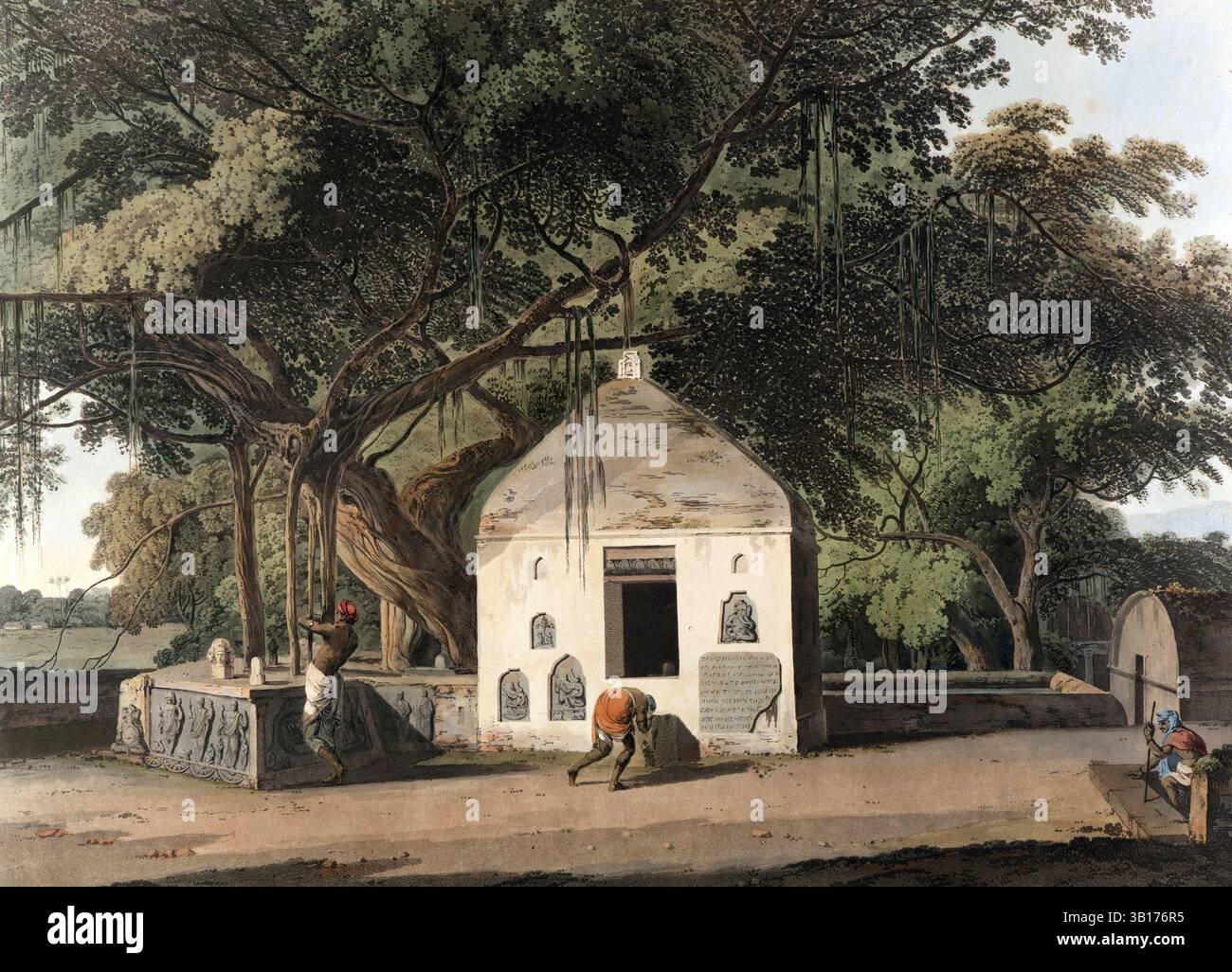 The sacres tree of the Hindoos at Gyat, province of Bahar, Tree is ...