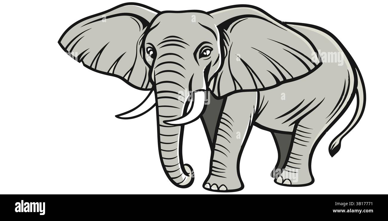 Elephant Illustration Vector Art for Wildlife Conservation and ...