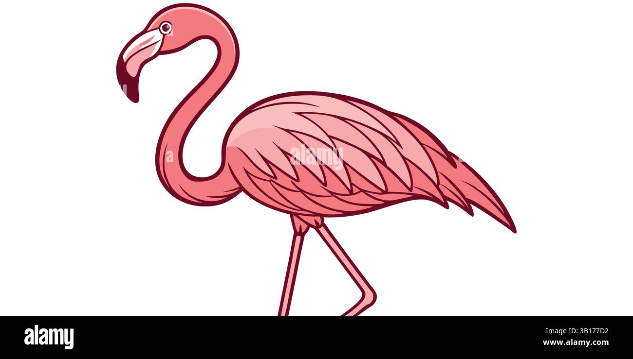 Pink Flamingo Illustration Vector Art for Wildlife Decor Commercial Use ...