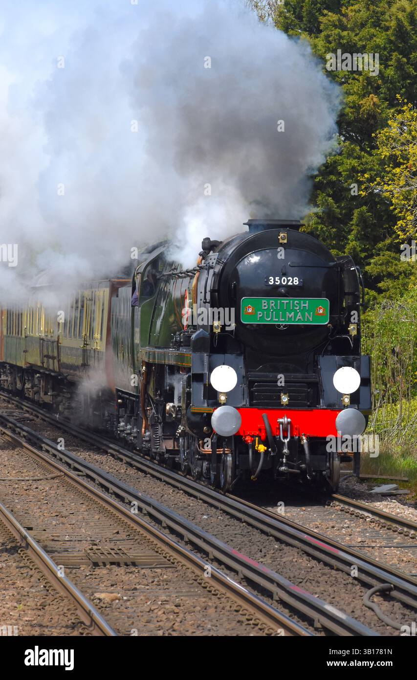 Steam Locomotive British Pullman in the spring sunshine passing through ...