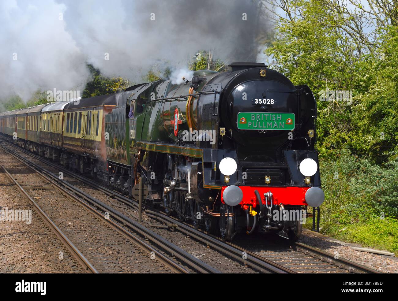 Steam Locomotive British Pullman in the spring sunshine passing through ...