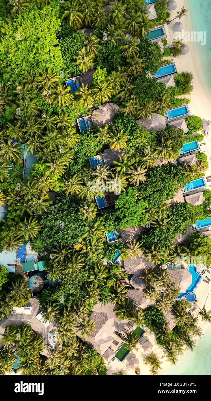 Aerial view of luxury tropical resort with villas and pools hidden in lush palm trees by the ...