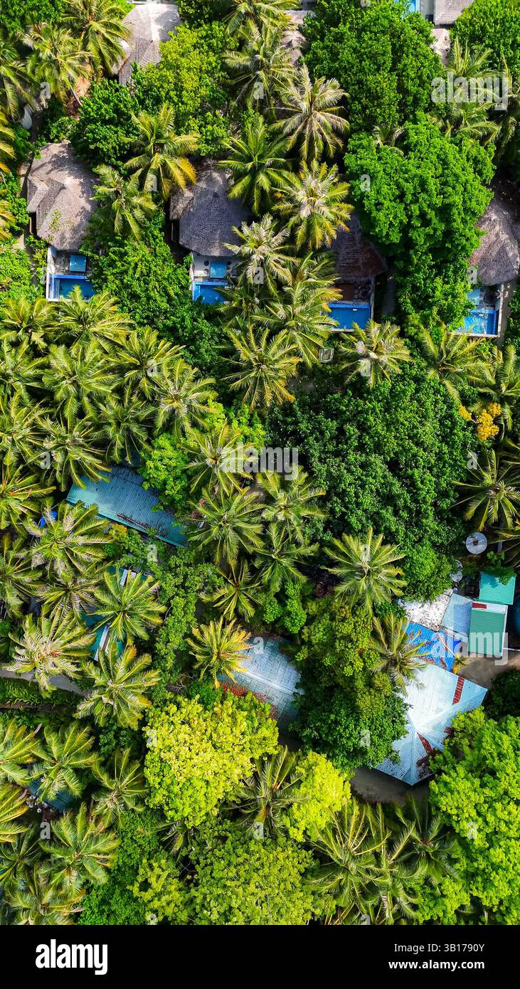 Aerial view of luxury tropical resort with villas and pools hidden in lush palm trees by the ...