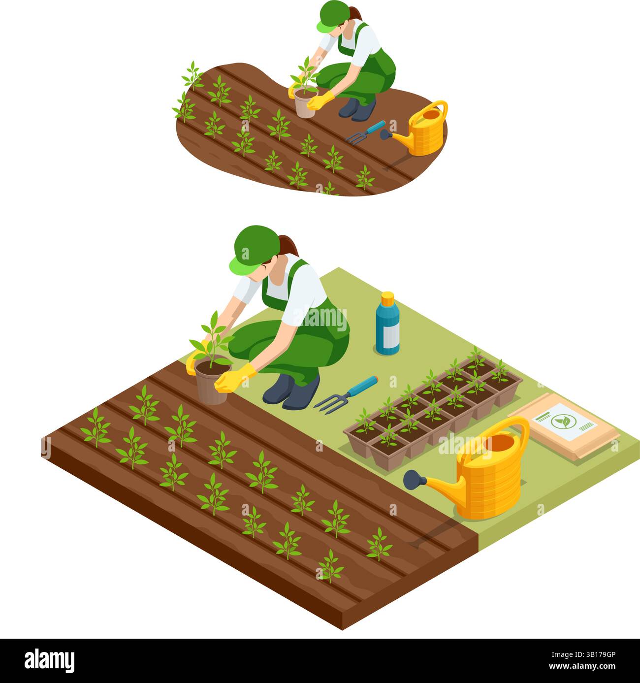 Agricultural cultivation. Isometric vector of a farmer planting ...