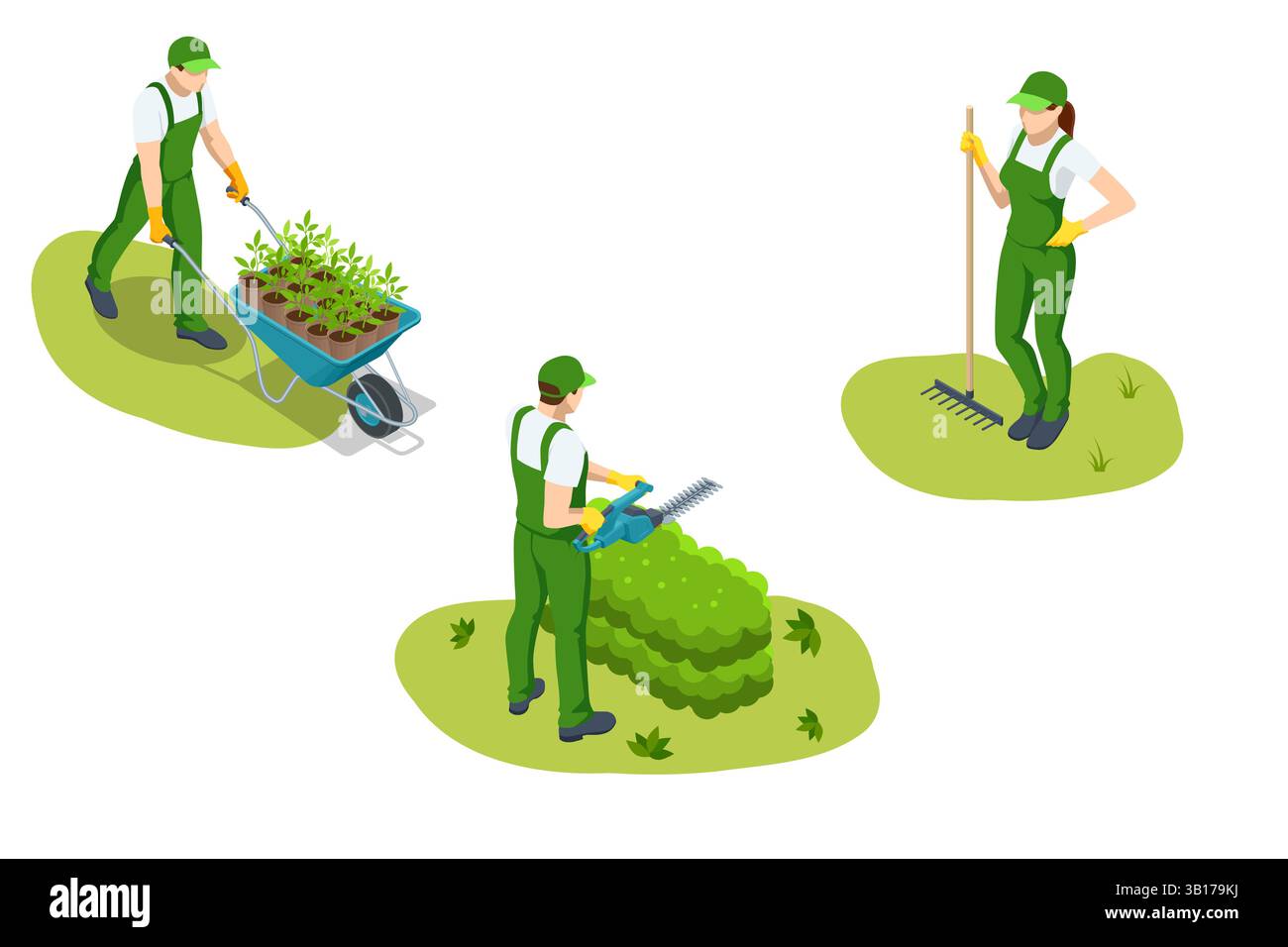 Agricultural cultivation. Three gardeners are preparing and trimming ...