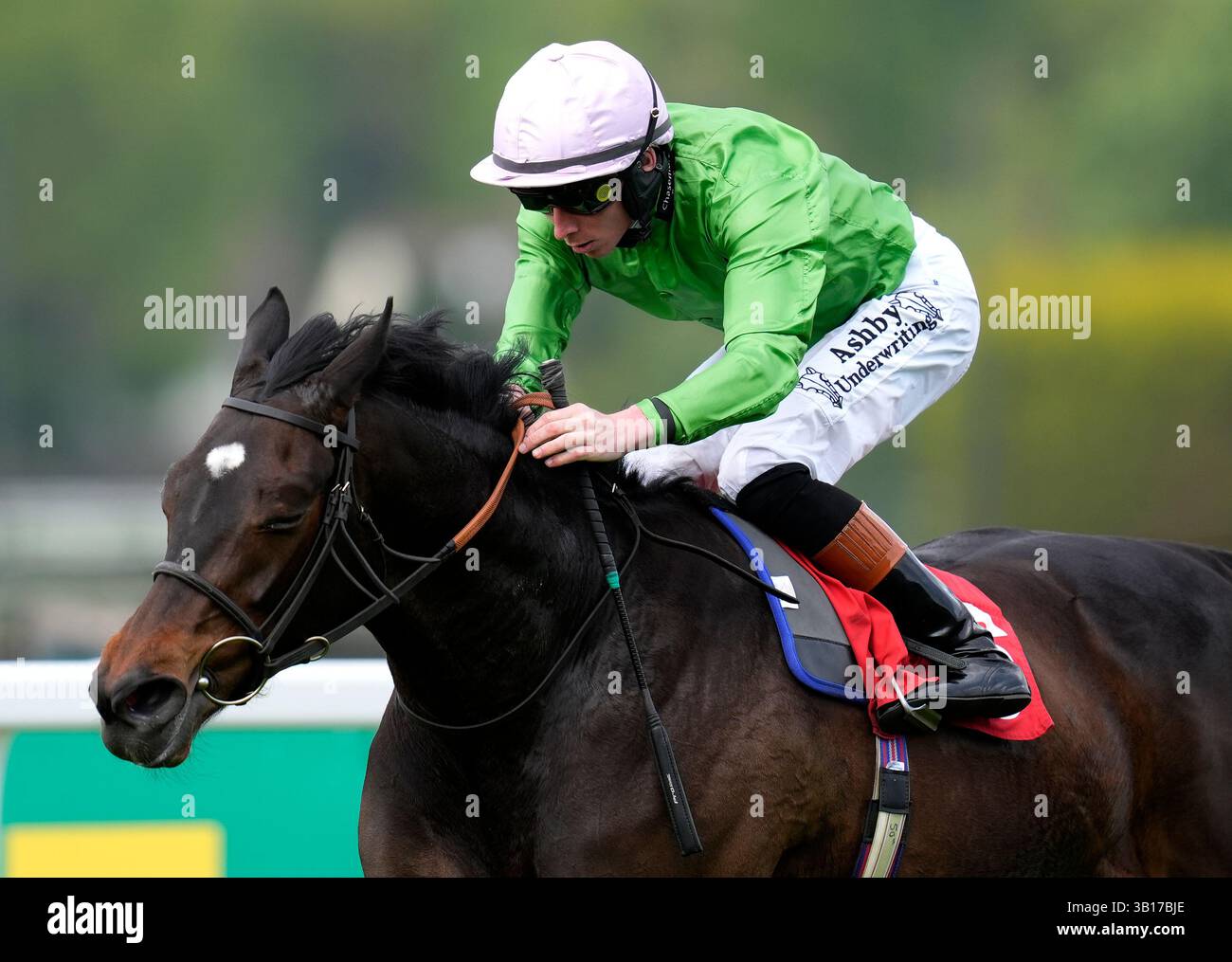 Tattycoram ridden by Rossa Ryan on their way to winning the bet365 ...