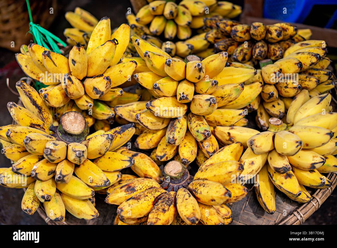 Myanmar banana varieties hi-res stock photography and images - Alamy