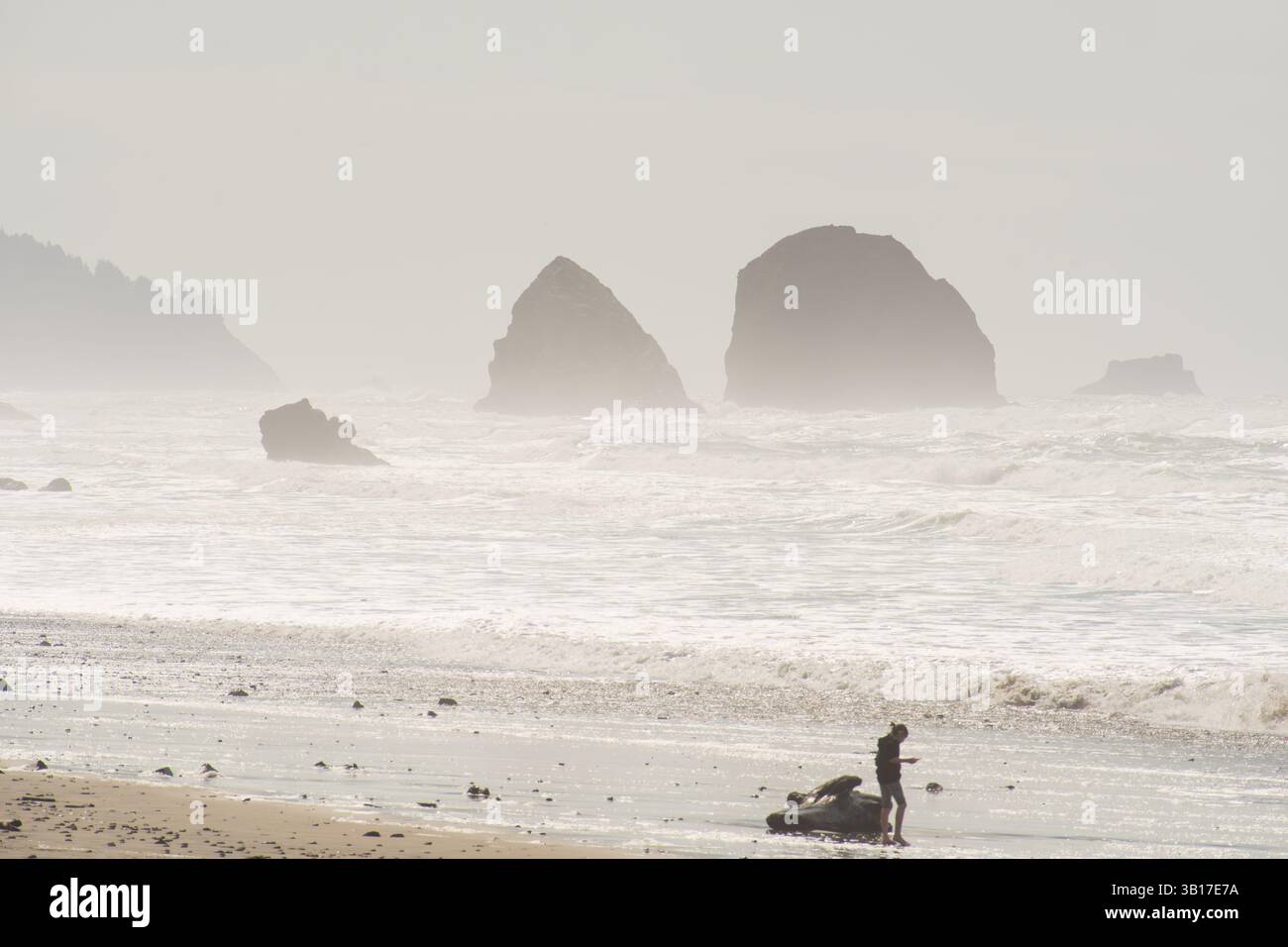 CANNON BEACH, OR, USA - APR 12, 2025: Visitors walk along the sandy ...