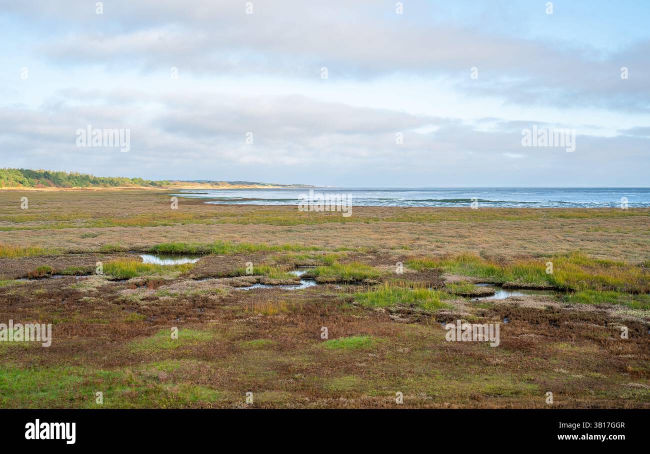 Panorama waddensea coastline island hi-res stock photography and images ...