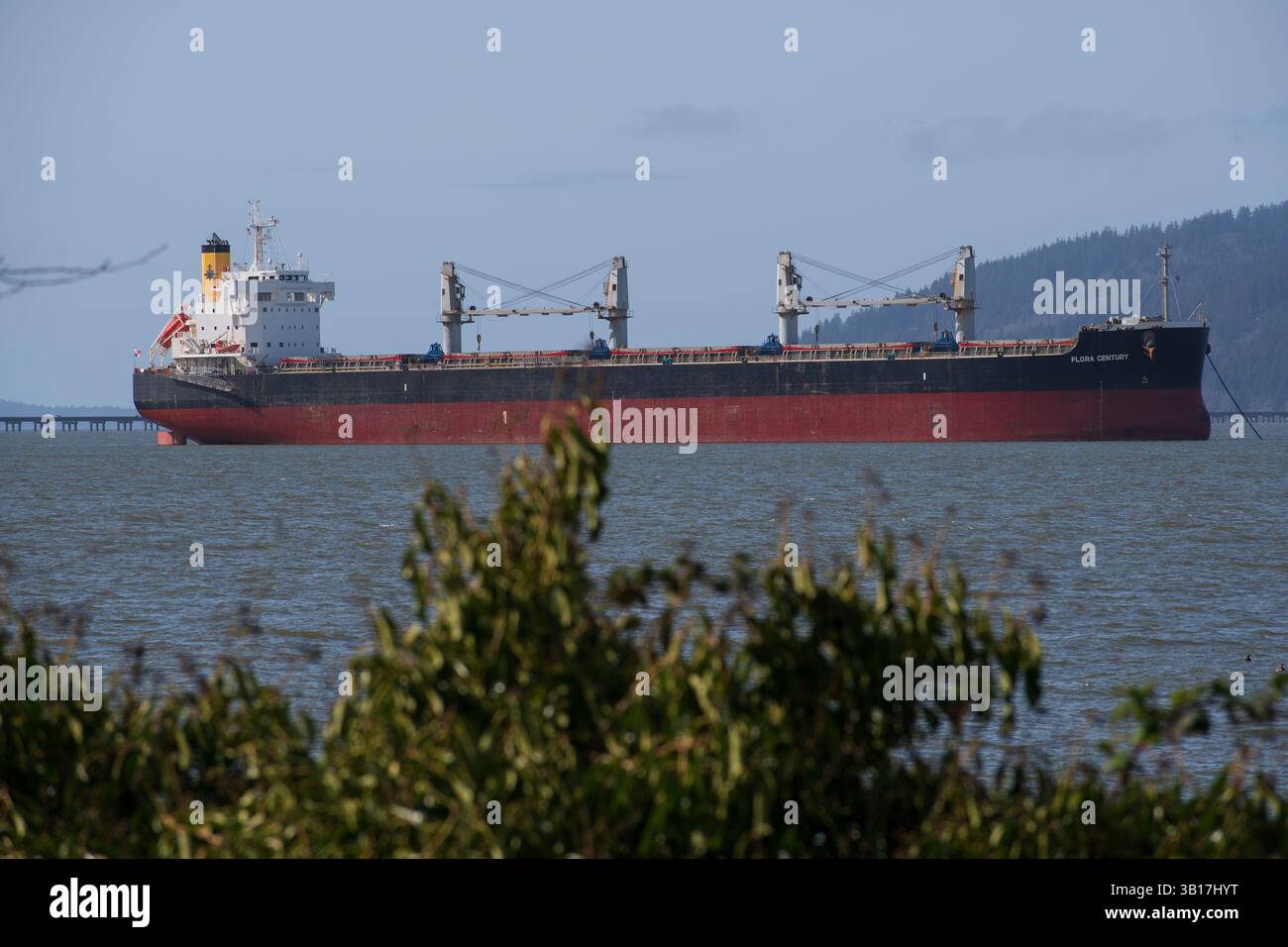 ASTORIA, OR, USA – APRIL 10: Various cargo ships are seen docked along ...