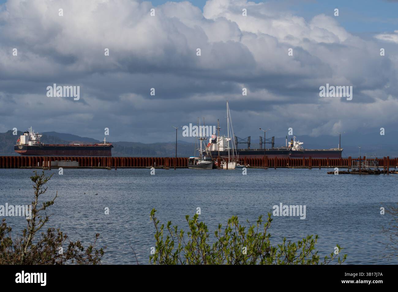 ASTORIA, OR, USA – APRIL 10: Various cargo ships are seen docked along ...