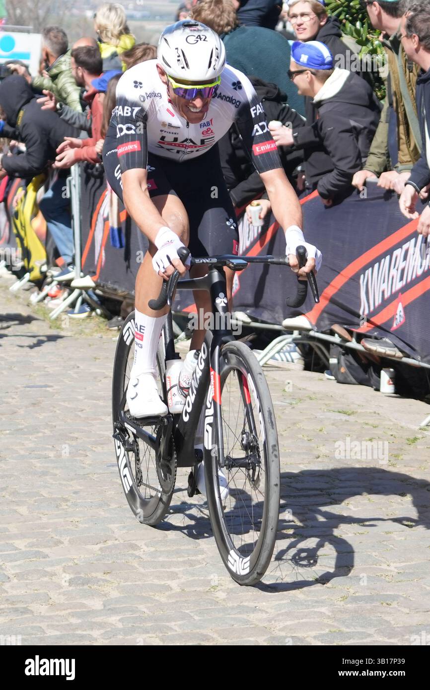 Guest of UAE Team Emirates - XRG during the Tour des Flandres, Ronde ...