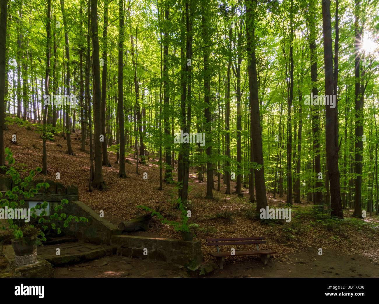 source Kaiserbrünndl, official source of the Wienfluss Vienna River ...