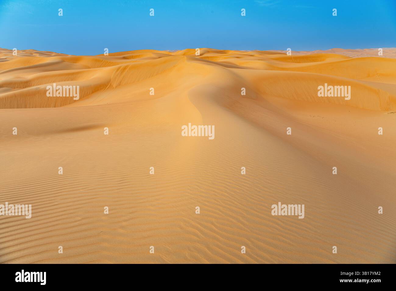 Trip in the desert, Moreeb Dune or Tal Moreeb is a large sized sand ...