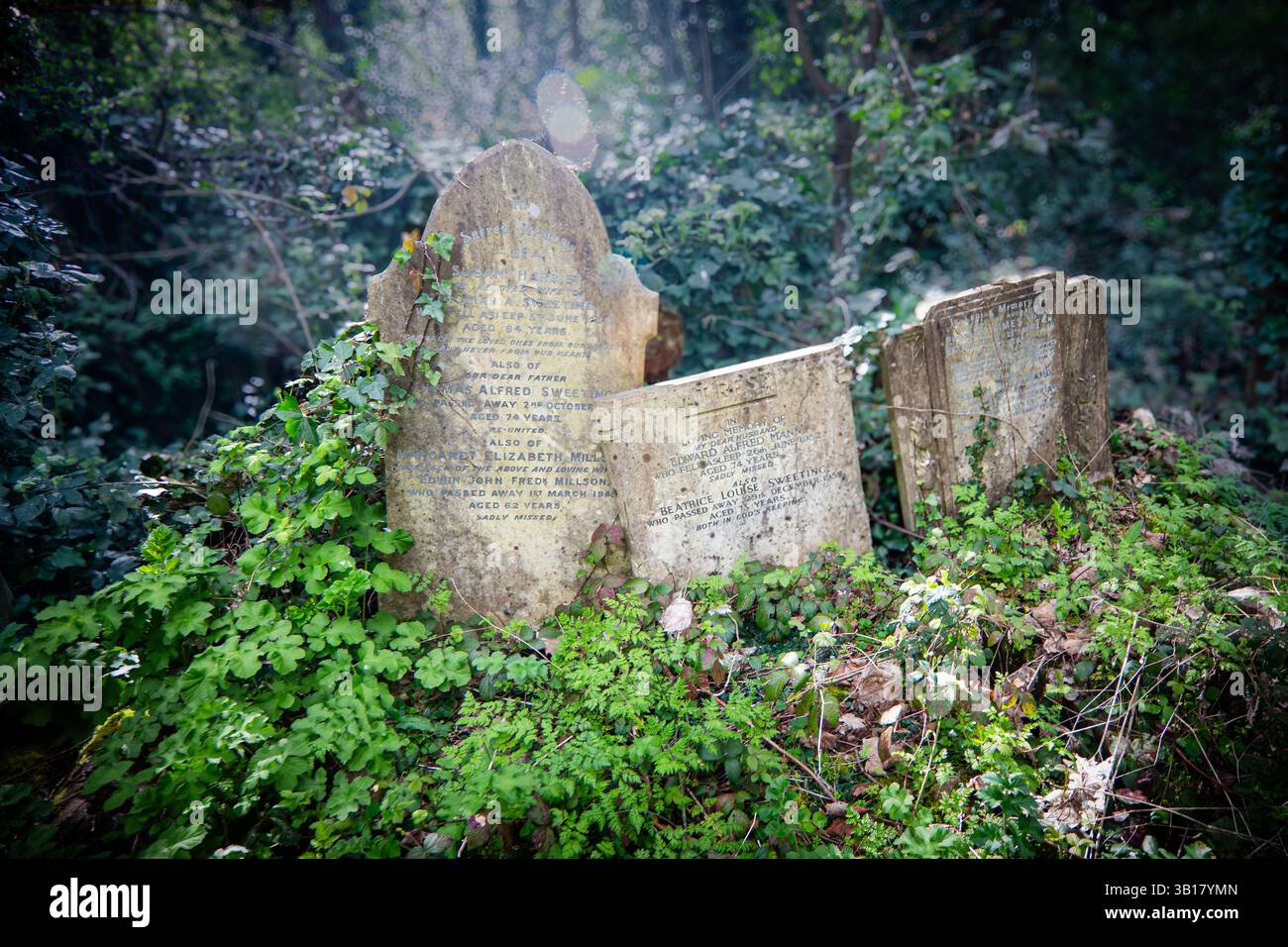 Friends of nunhead cemetery hi-res stock photography and images - Alamy