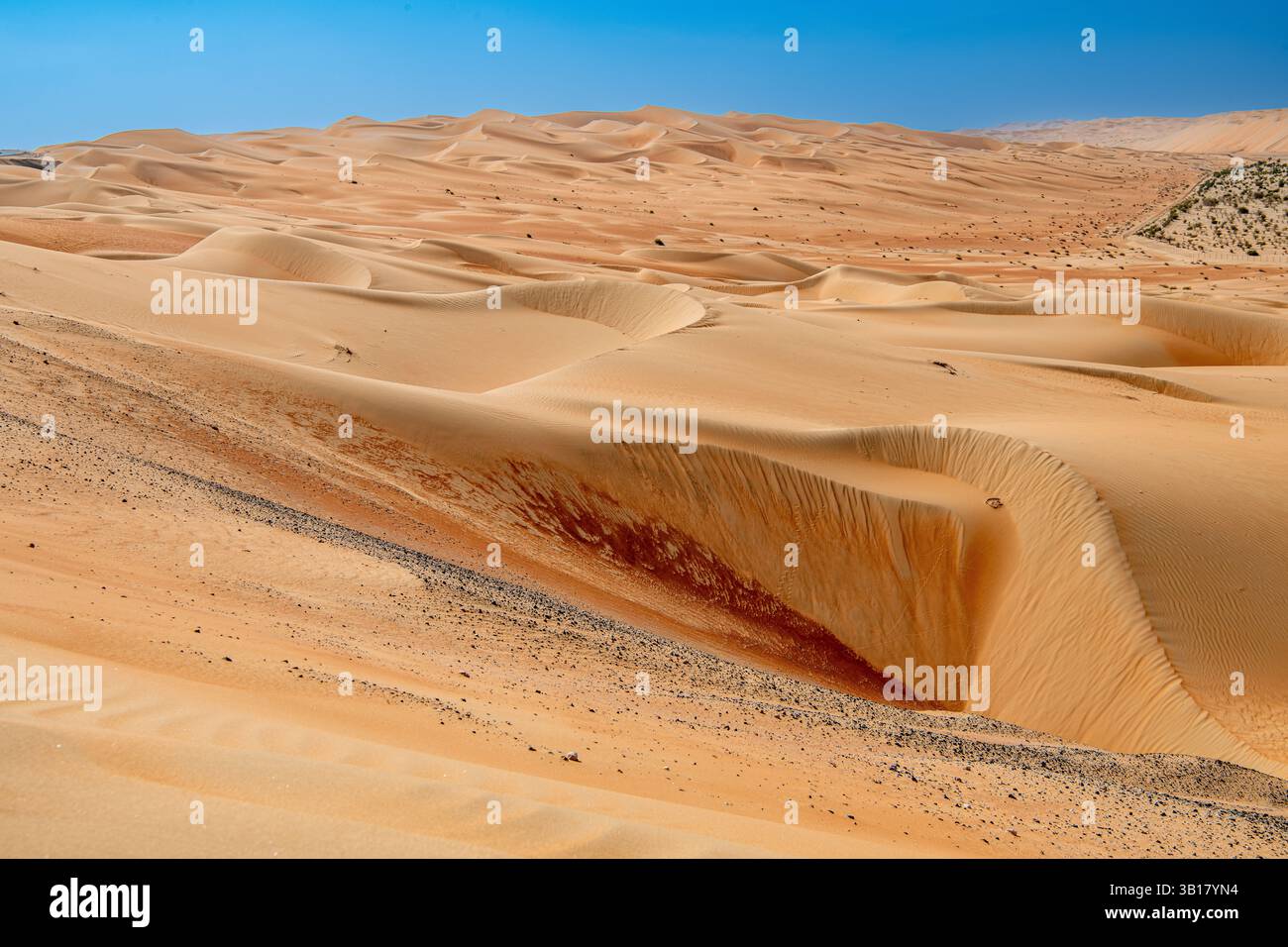 Trip in the desert, Moreeb Dune or Tal Moreeb is a large sized sand ...