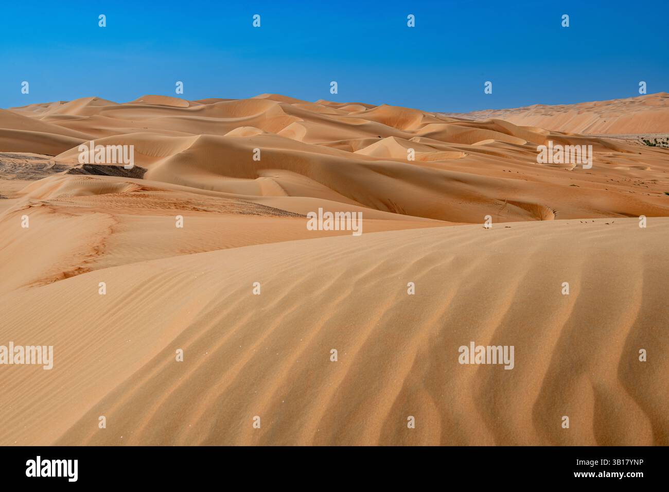 Trip in the desert, Moreeb Dune or Tal Moreeb is a large sized sand ...