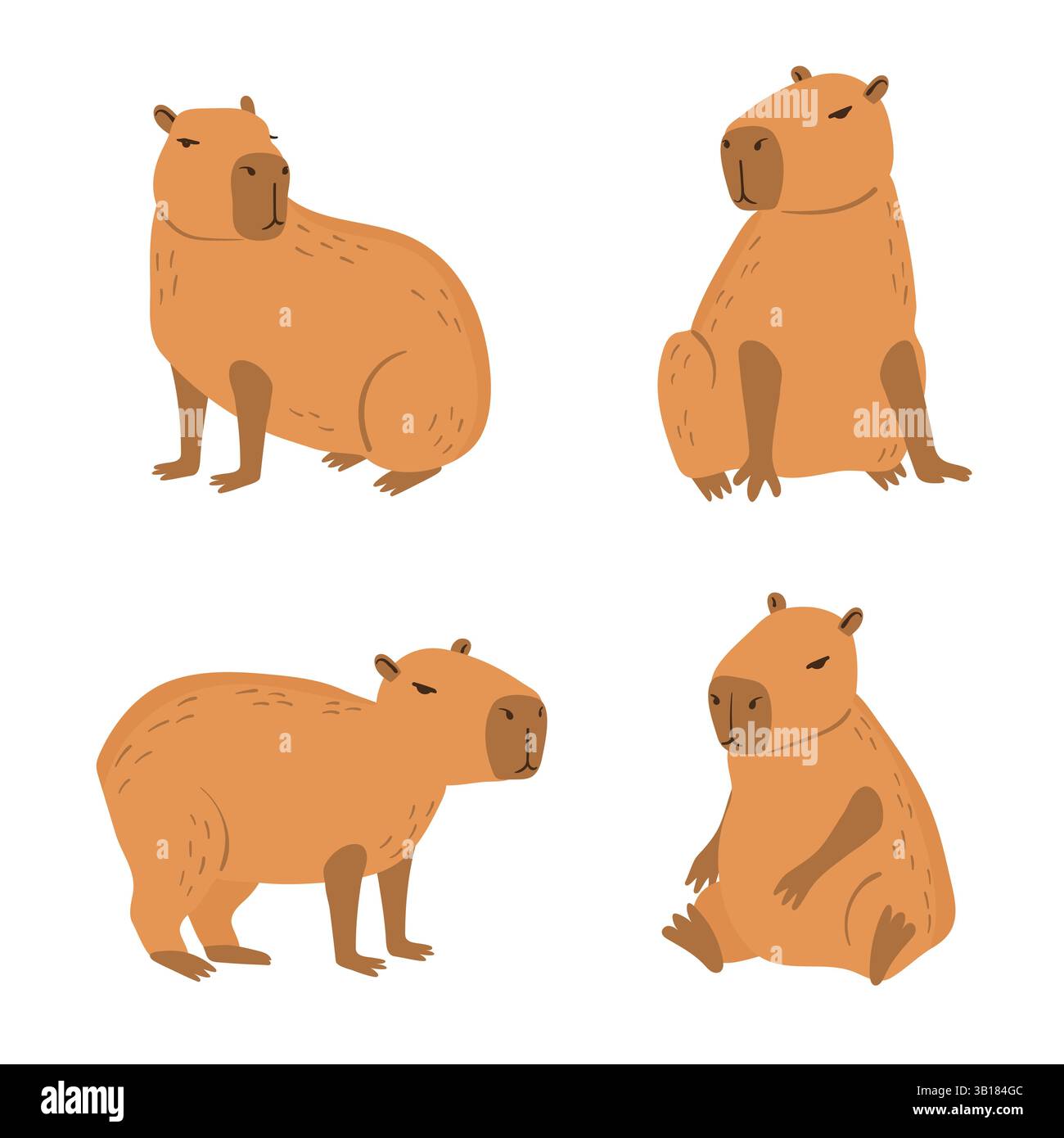 Capybara cute set. Vector capybaras cartoon characters isolated on white Stock Vector Image ...
