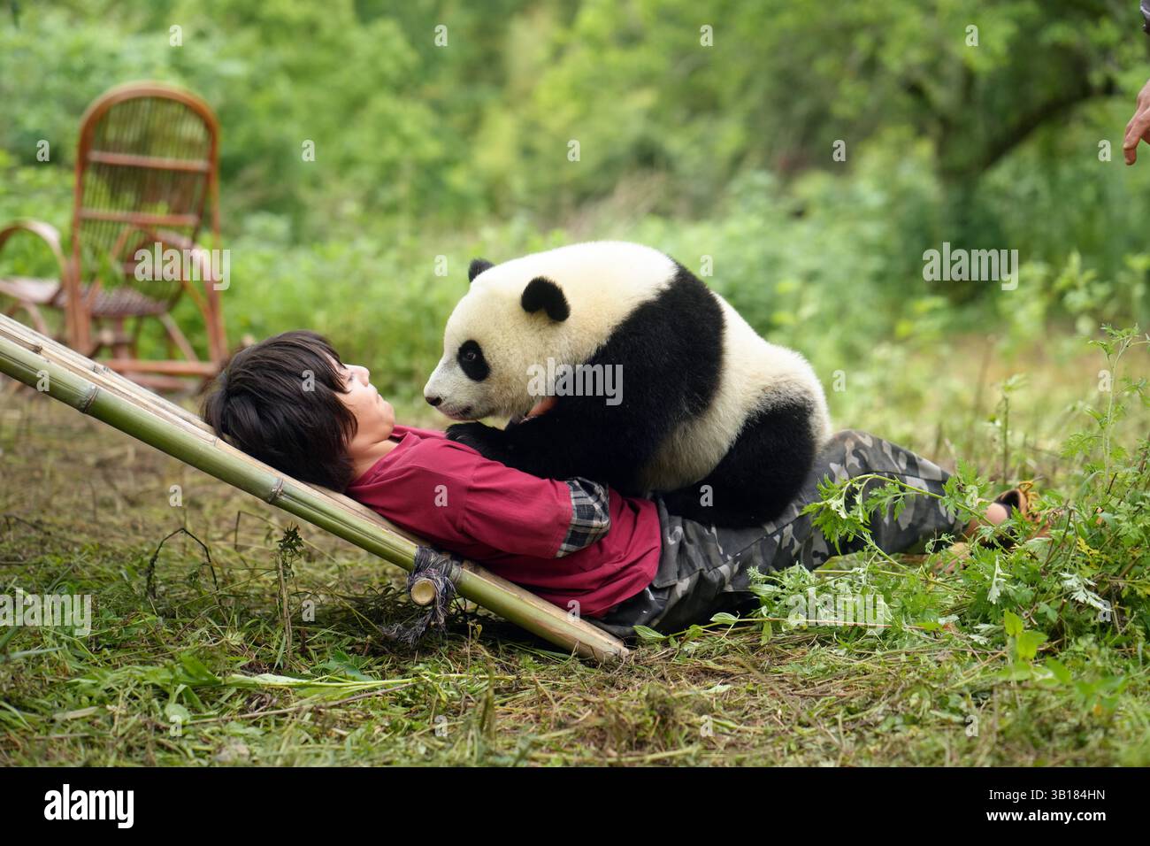 MOON THE PANDA (2025) -Original title: MOON LE PANDA-, directed by ...