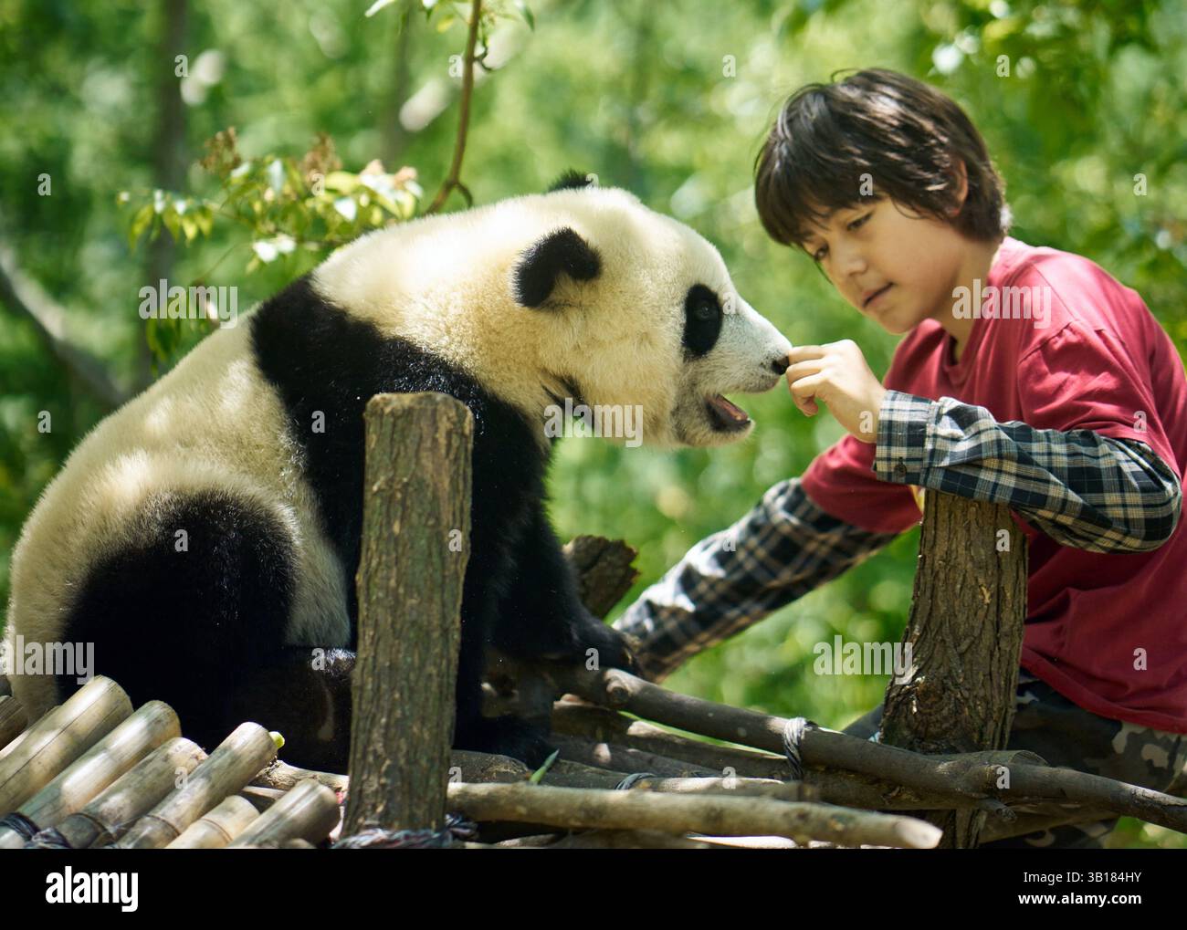 MOON THE PANDA (2025) -Original title: MOON LE PANDA-, directed by GILLES DE MAISTRE. Credit ...