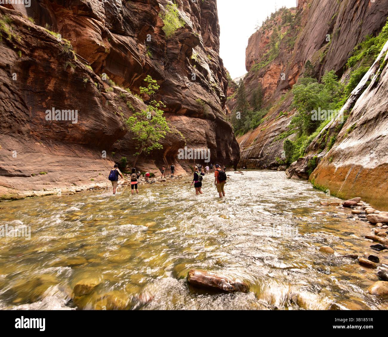 Unidentifiable hikers on the river trail. Water temp 57 degrees. Air ...