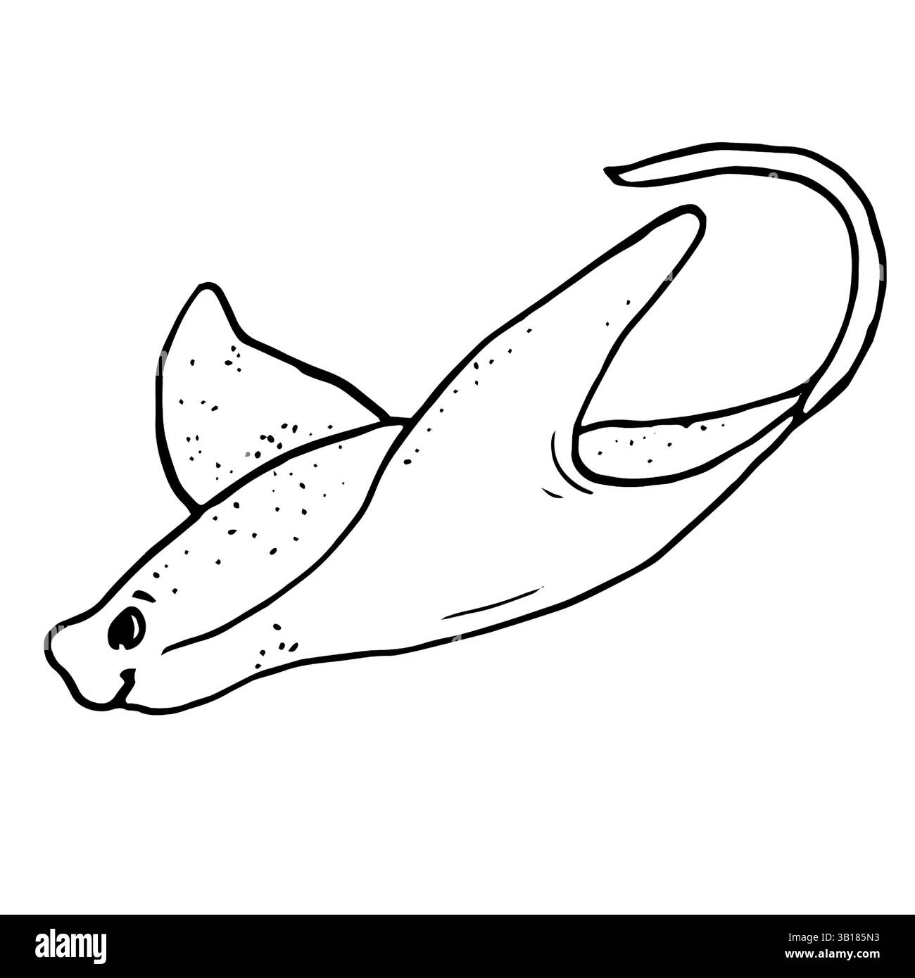 Sea stingray, a sketch in black and white ink. Vector illustration. A ...