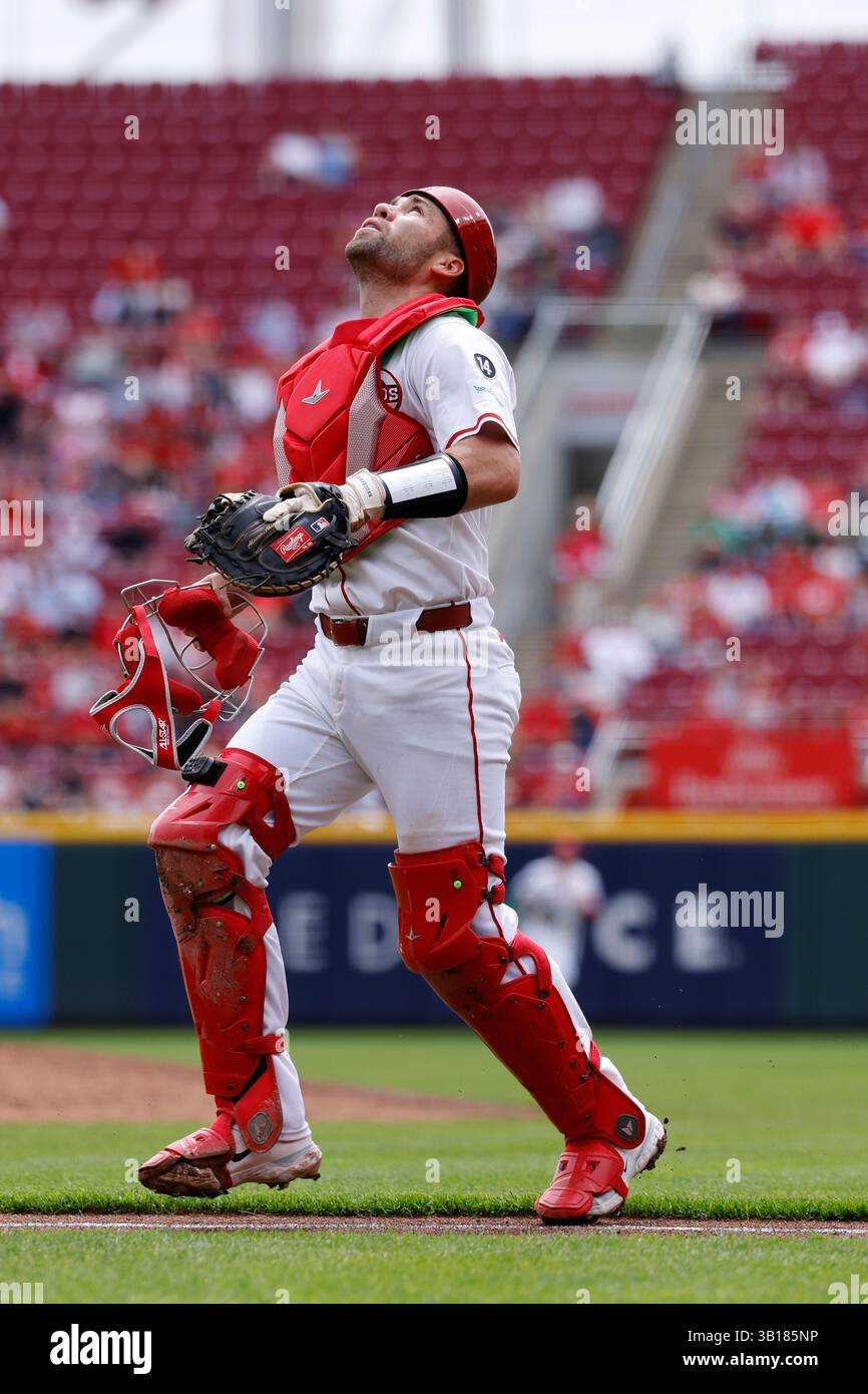 CINCINNATI, OH - APRIL 17: Cincinnati Reds catcher Austin Wynns (38 ...