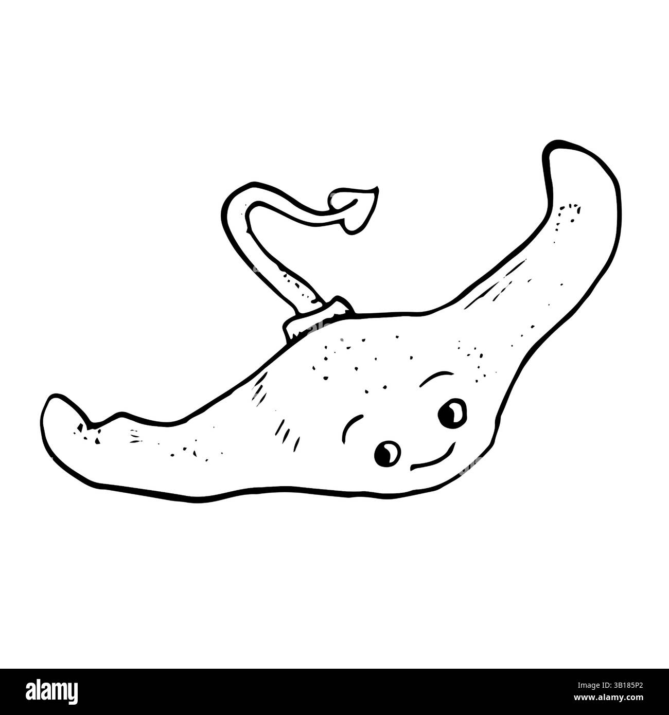 Sea stingray, a sketch in black and white ink. Vector illustration. A ...