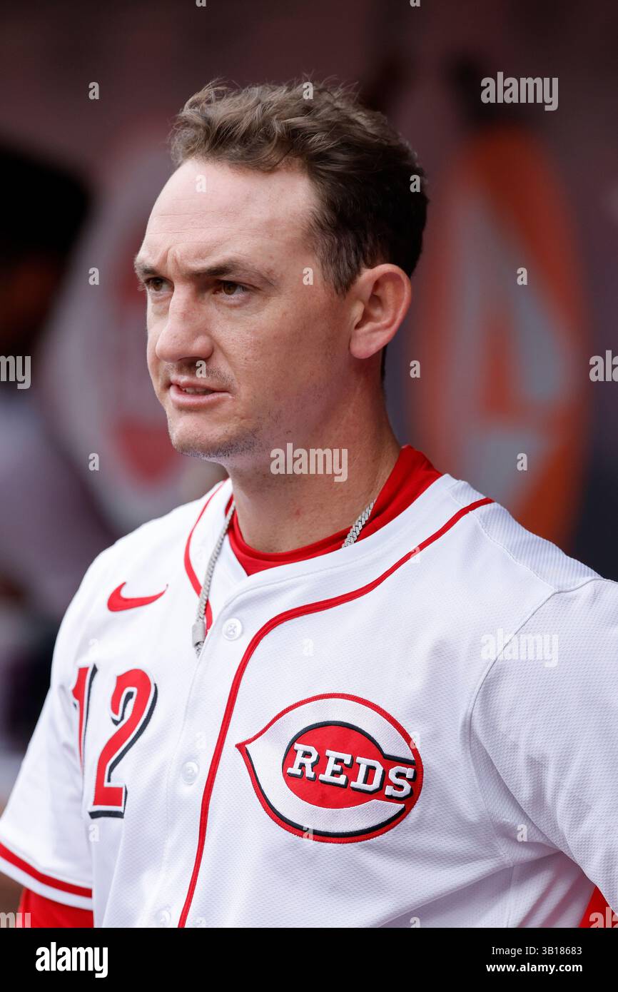 CINCINNATI, OH - APRIL 17: Cincinnati Reds designated hitter Austin ...