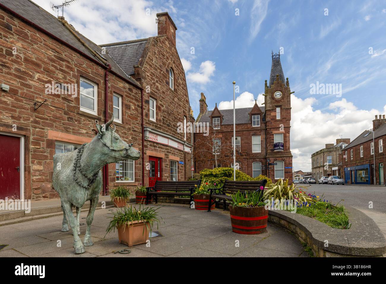 Ayrshire cow hi-res stock photography and images - Alamy