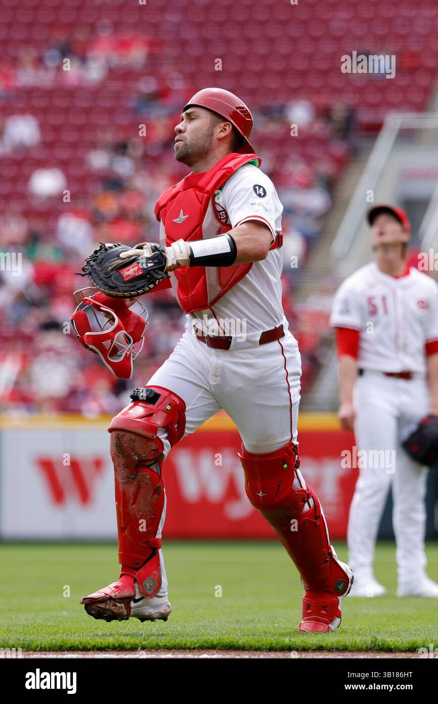 CINCINNATI, OH - APRIL 17: Cincinnati Reds catcher Austin Wynns (38 ...