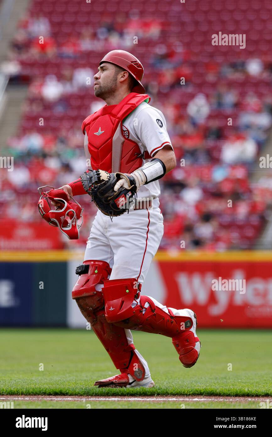 CINCINNATI, OH - APRIL 17: Cincinnati Reds catcher Austin Wynns (38 ...