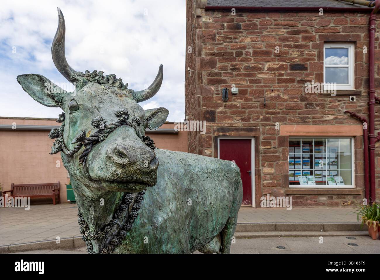 Ayrshire cow hi-res stock photography and images - Alamy
