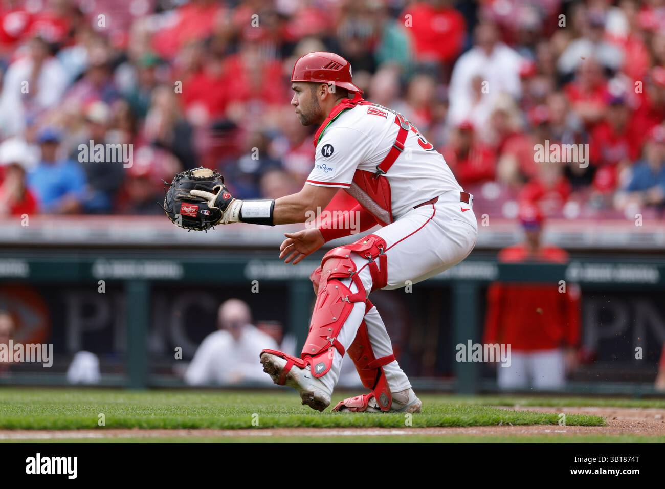 CINCINNATI, OH - APRIL 17: Cincinnati Reds catcher Austin Wynns (38 ...