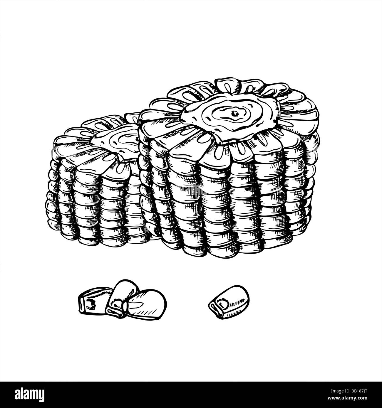 Vegetable charcoal Stock Vector Images - Alamy